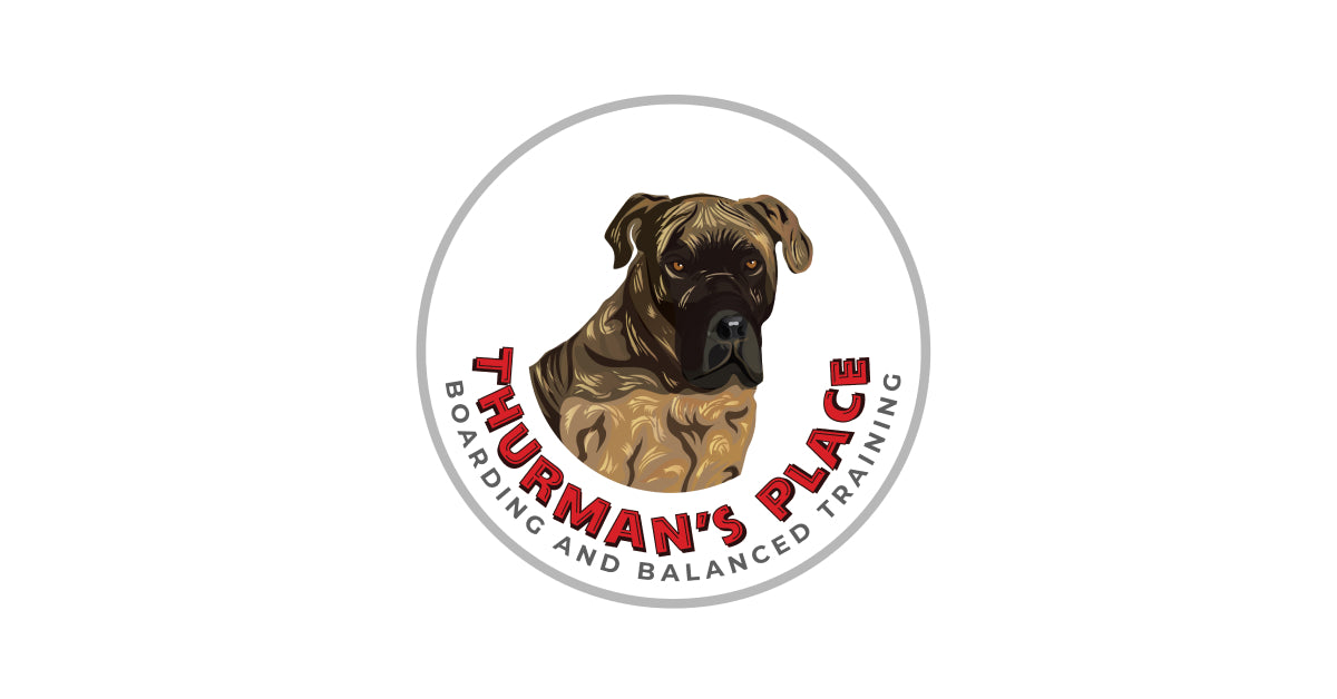 Our Story – Thurmans Bites